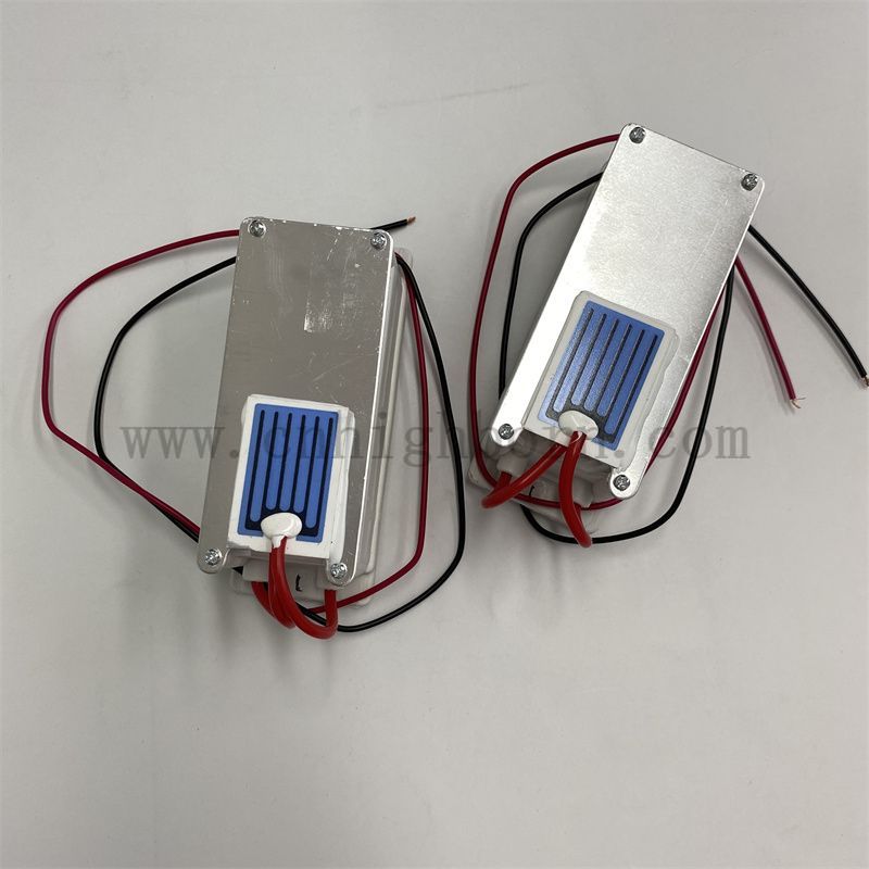 220V 1g/H ceramic sheet ozone generator module air purifier O3 ozonator ...