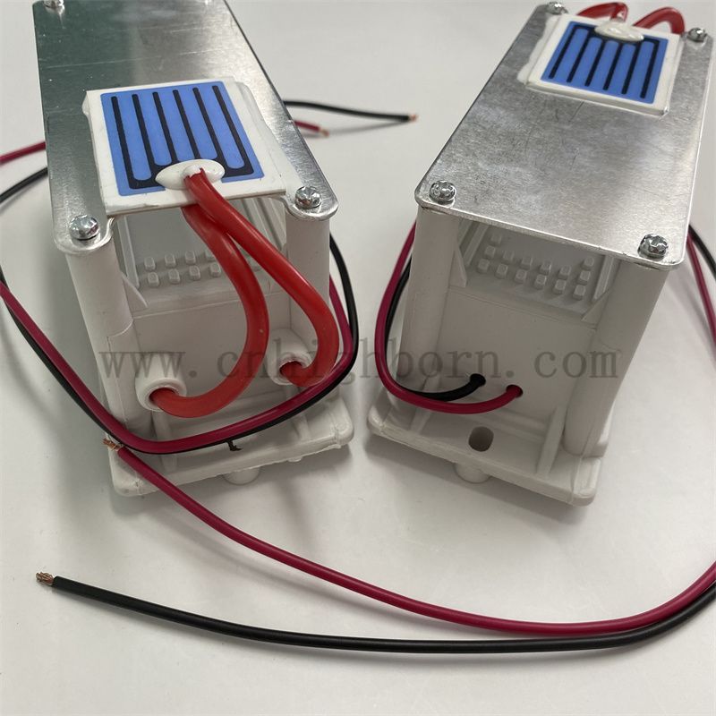 220V 1g/H ceramic sheet ozone generator module air purifier O3 ozonator ...