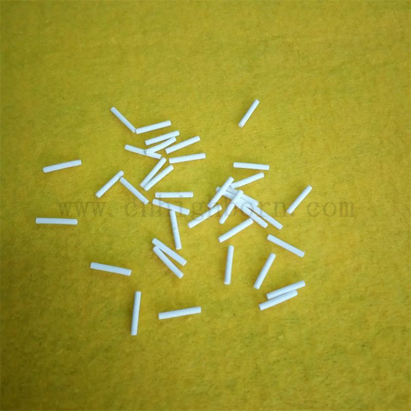 Customized Porous Ceramic Reference Electrode Wick Water Quality ...